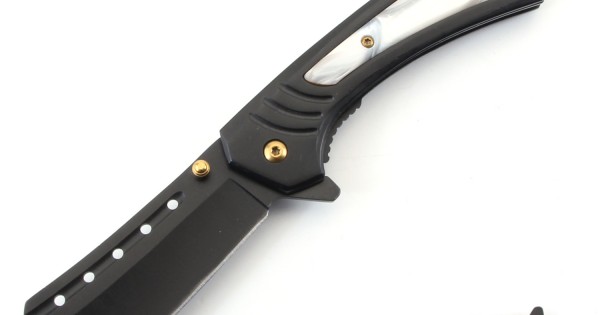 Spring Assist knife W/ Inlay Handle (120/cs)